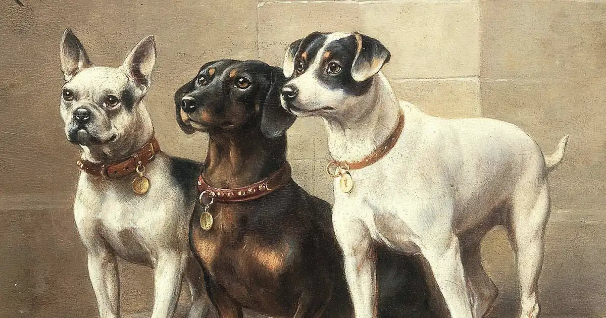 Dog Model Casting Call | Norfolk UK | • Albert & Arthur England