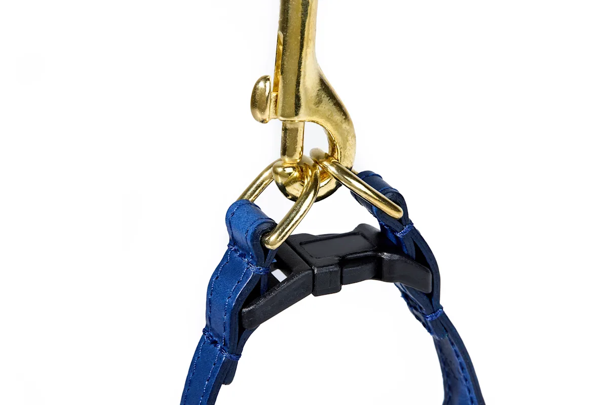 How to Measure Your Dog for a Collar UK • Albert & Arthur England