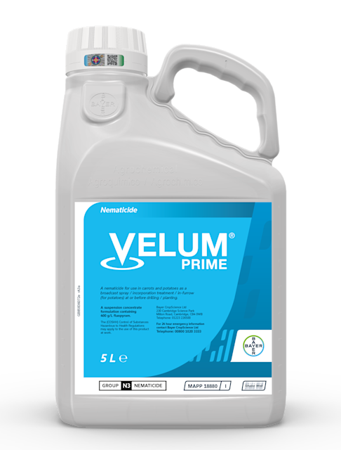 Velum Prime