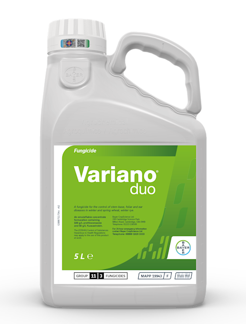 Variano Duo