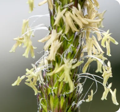 Bayer Crop Science UK: Crop Protection for a Fast-Changing World