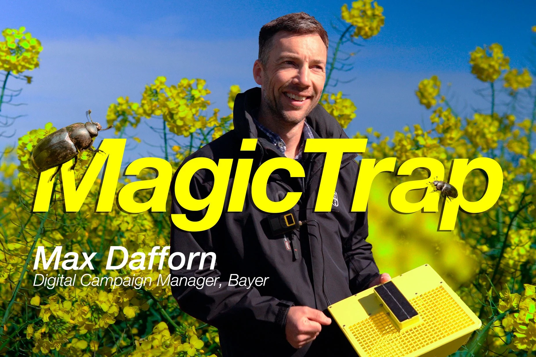 MagicTrap - The digital yellow trap for oilseed rape pests