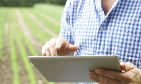 Crop performance: building sustainable success