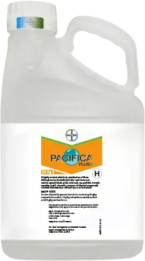 Incelo Herbicide