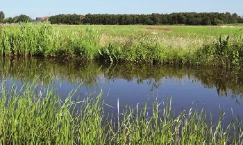 The Ultimate Guide to Buffer Zones