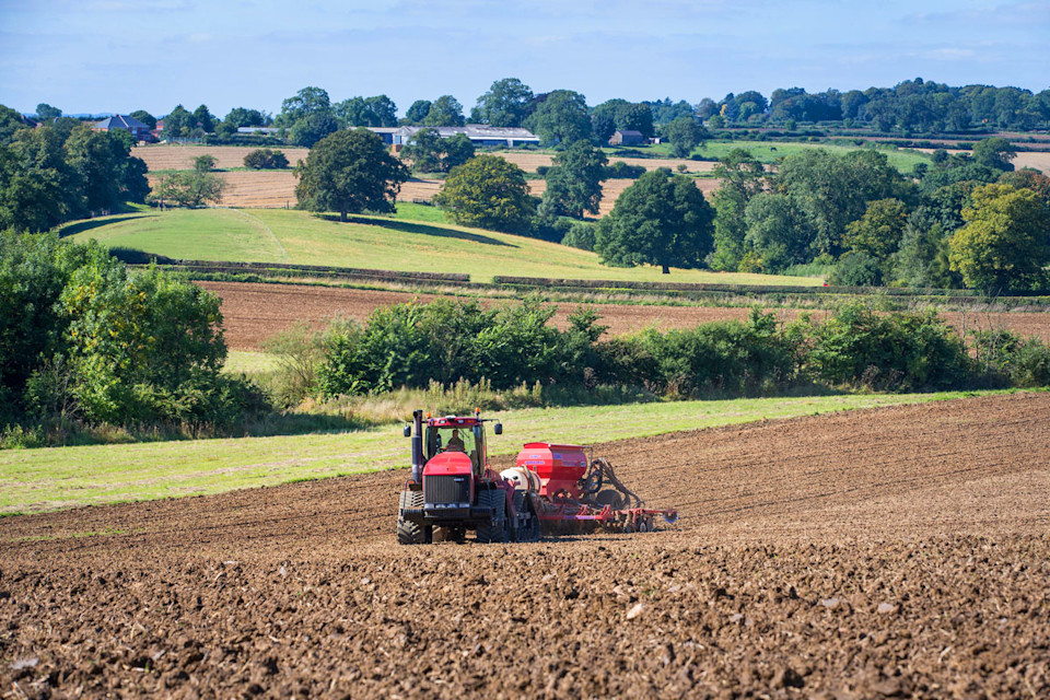 Weed control options for southern growers this October
