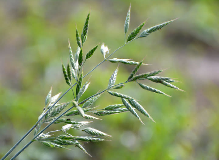 Achieving more with post-ems