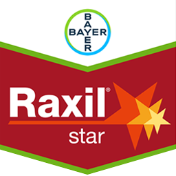 Raxil Star