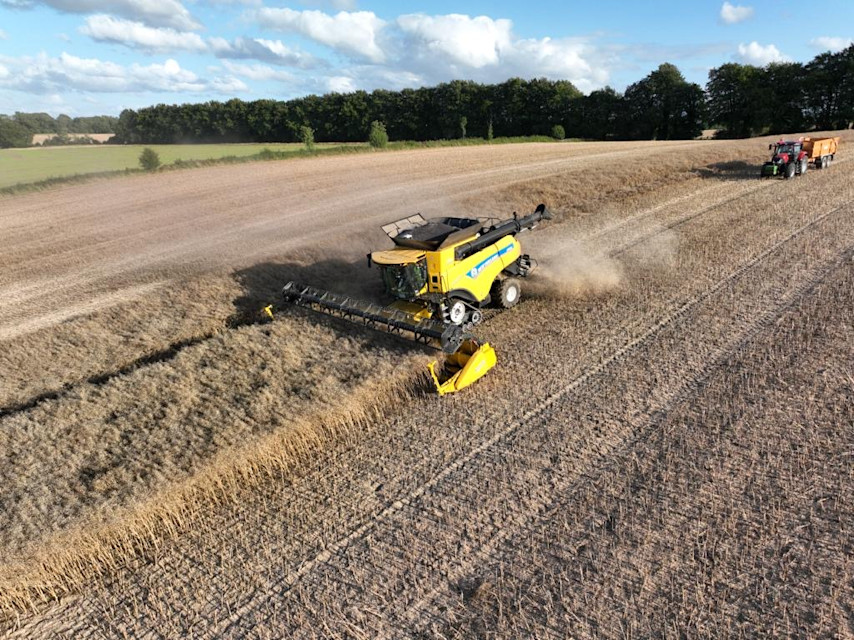 Strip Trials Underline Overall Establishment Importance