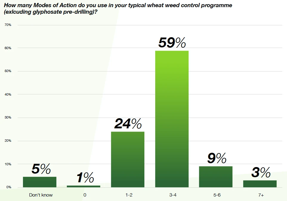 Actives for Autumn: Choosing Effective Herbicides for Cereal Weed Control