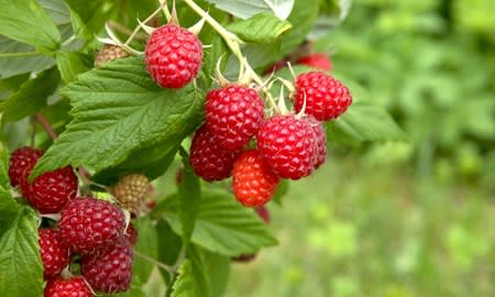 5 tips for getting the best from FLiPPER