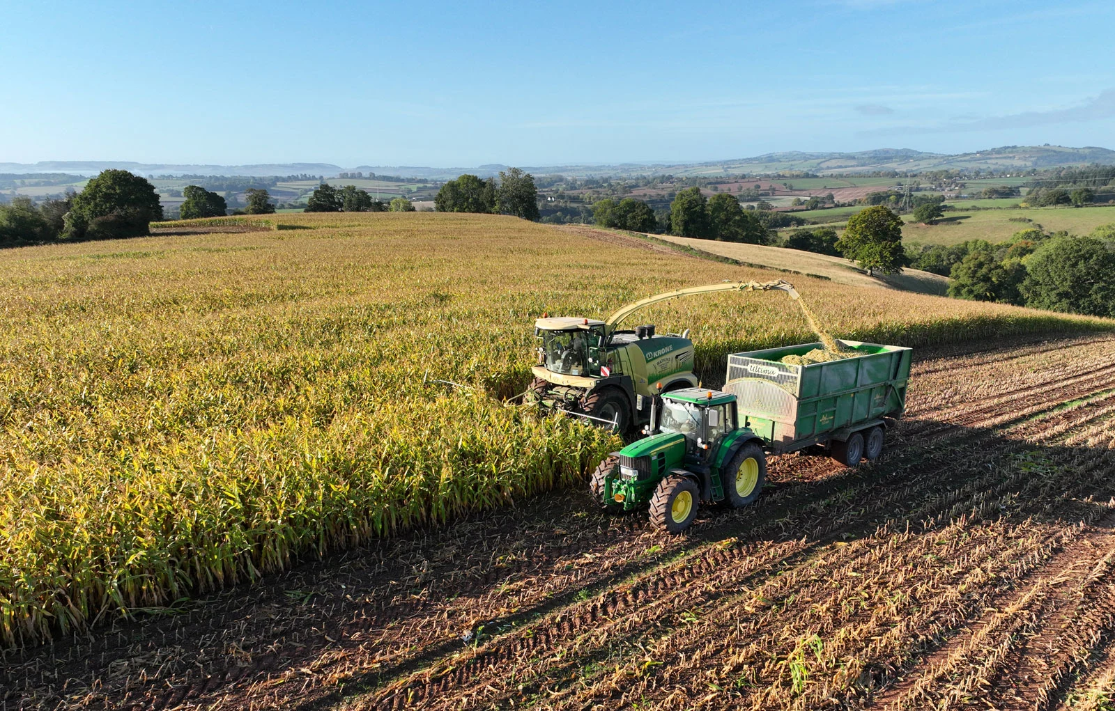 Strong performance from newest maize breeding platform