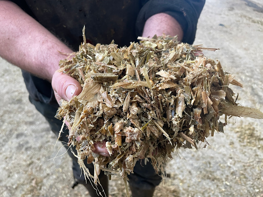 Dekalb | Technology advances boosting maize productivity