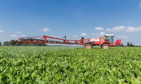 East: Look after established and new crops this August in these 4 key areas