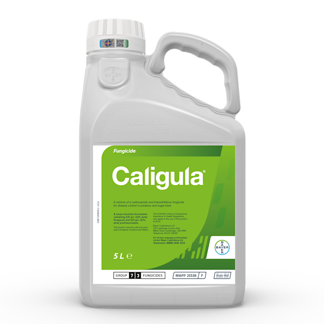 Caligula