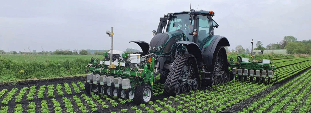 Mechanical weeding options on the rise