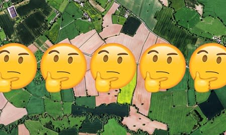 Farming Facts: 19 Intriguing Insights About UK Agriculture [Infographic]