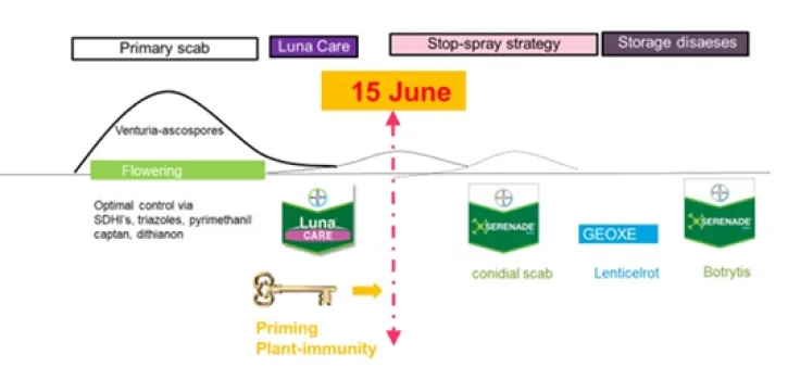 The adoption of biological crop protection agents: Protecting crops ...
