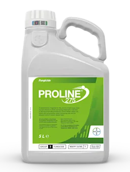 Proline 275