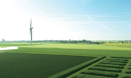 Driving OSR resilience with precision breeding