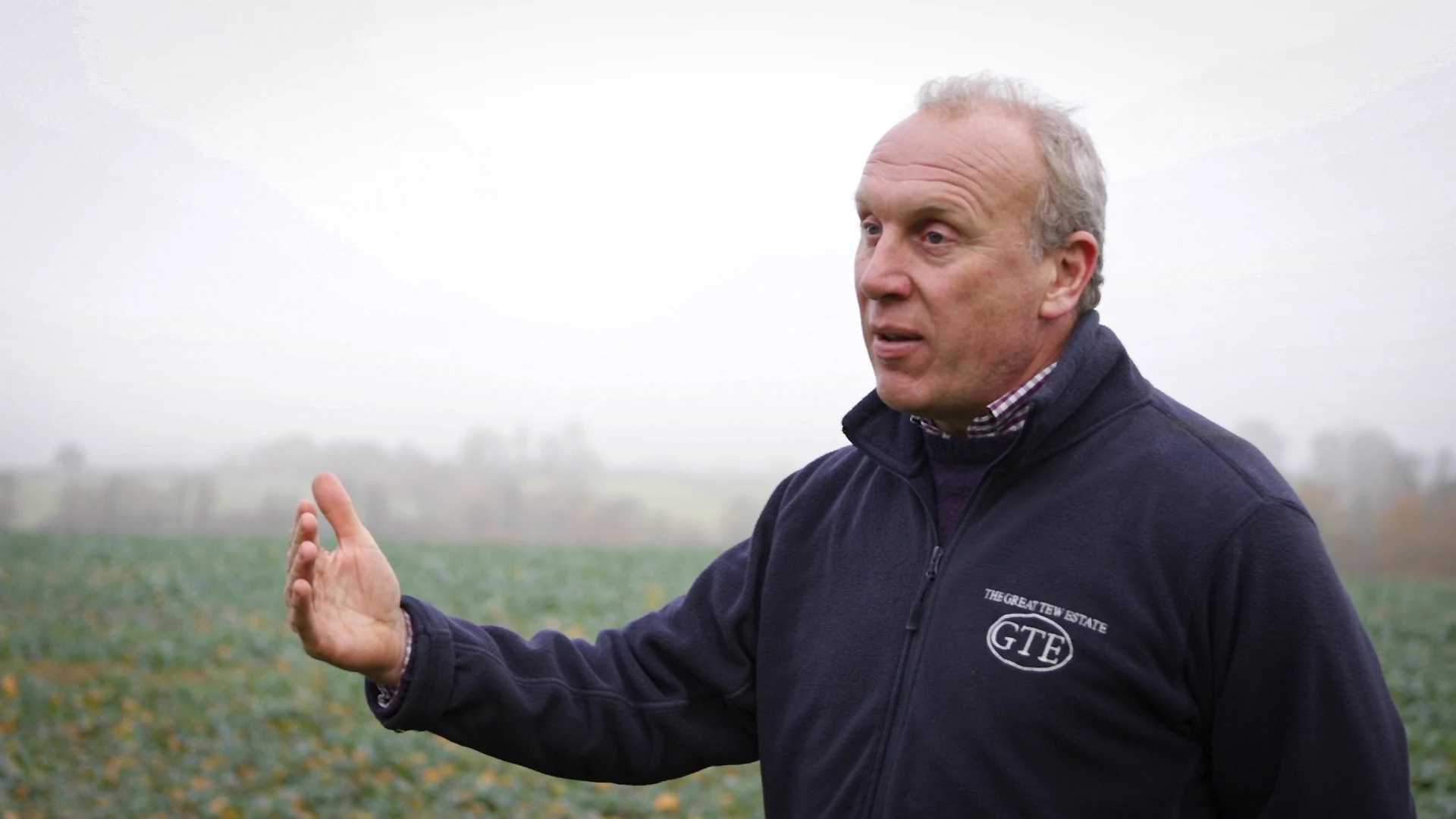 iblon | 2024 performance at T1 and T2 timings