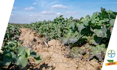 How to Test Soil Health on Your Farm: 10 Key Methods