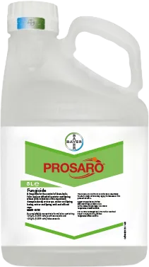Propulse