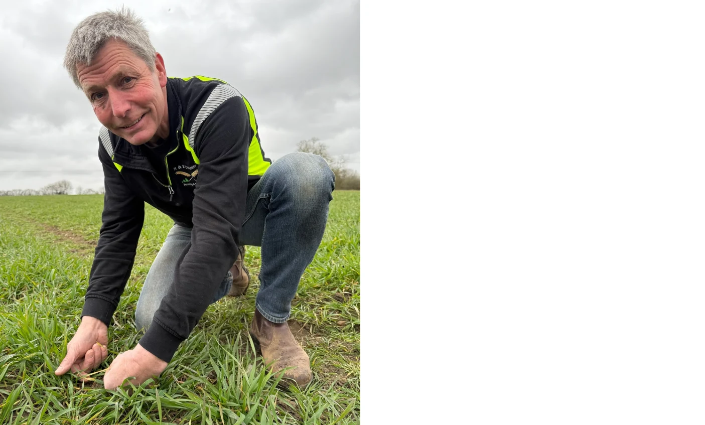 Iblon® delivers strong broad-spectrum fungicide performance in wheat
