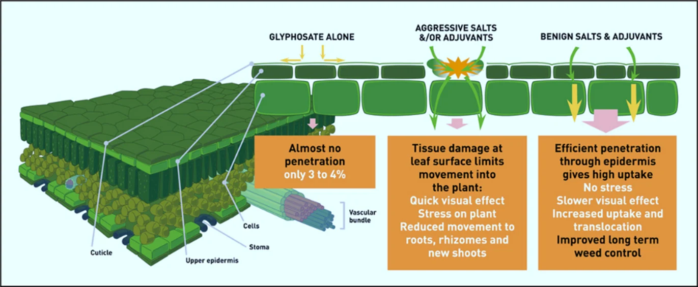 Roundup ProVantage
