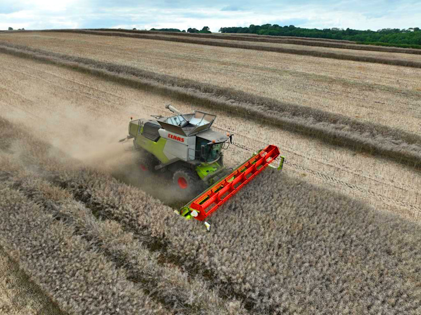 NIAB trials highlight new all-round hybrid strengths