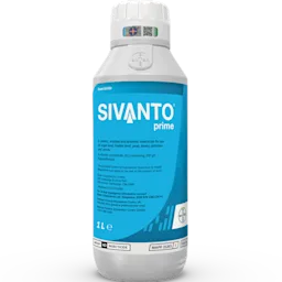 Sivanto Prime Insecticide