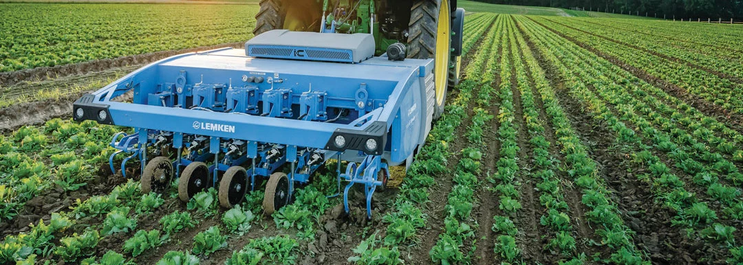 Mechanical weeding options on the rise