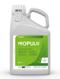 Propulse
