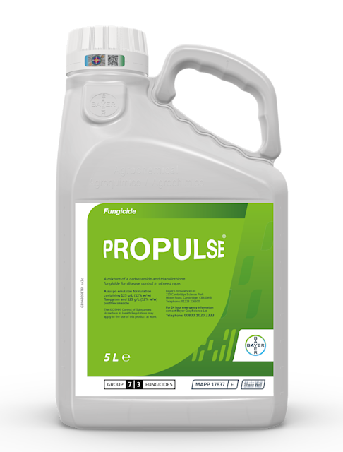Propulse