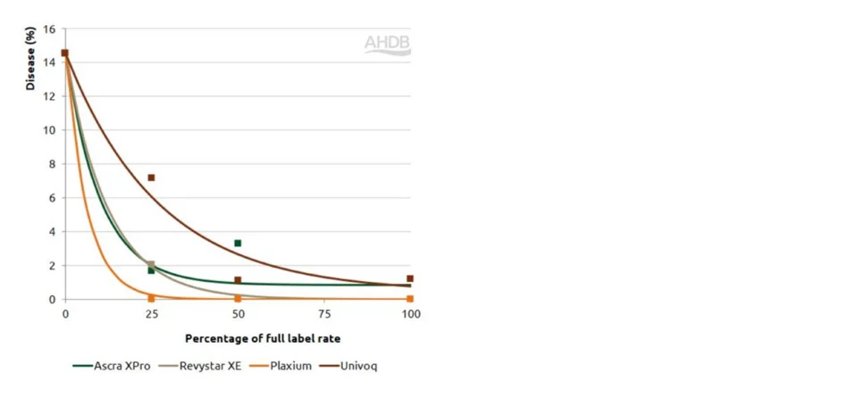 Plaxium® fungicide performs strongly in AHDB trials