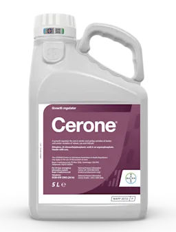 Cerone