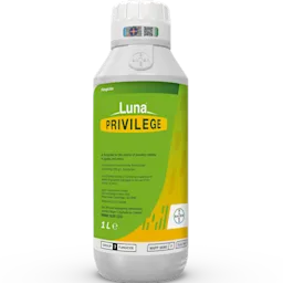 Luna Privilege