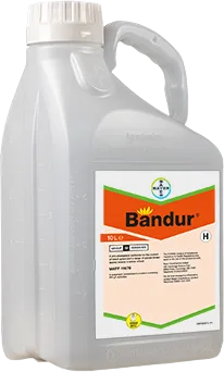 Roundup Biactive GL Herbicide