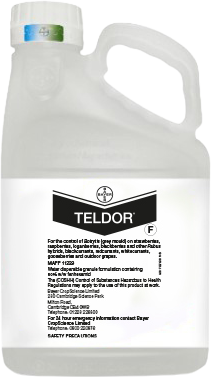 Teldor