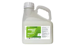 AscraXpro Fungicide