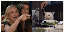 Smudge The Cat Meme Generator Well You re In Luck Because Here They 