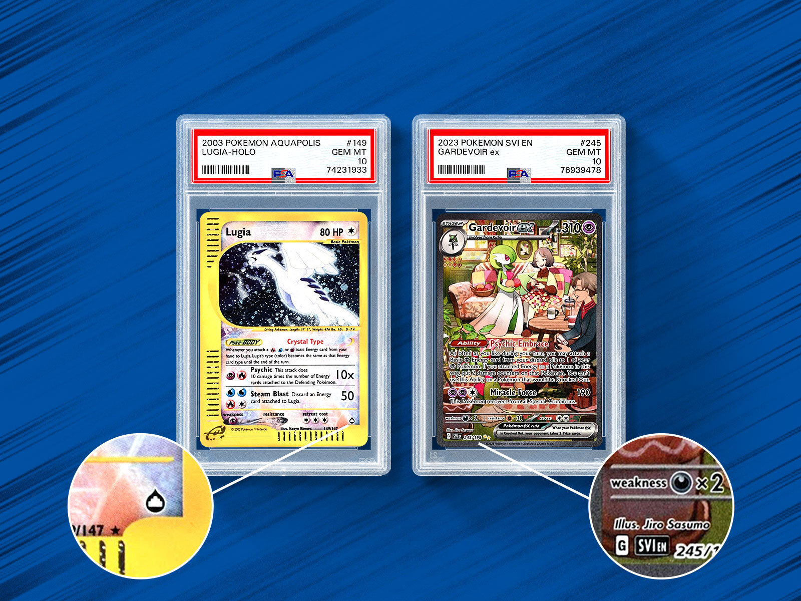 Pokémon Collecting Basics Guide