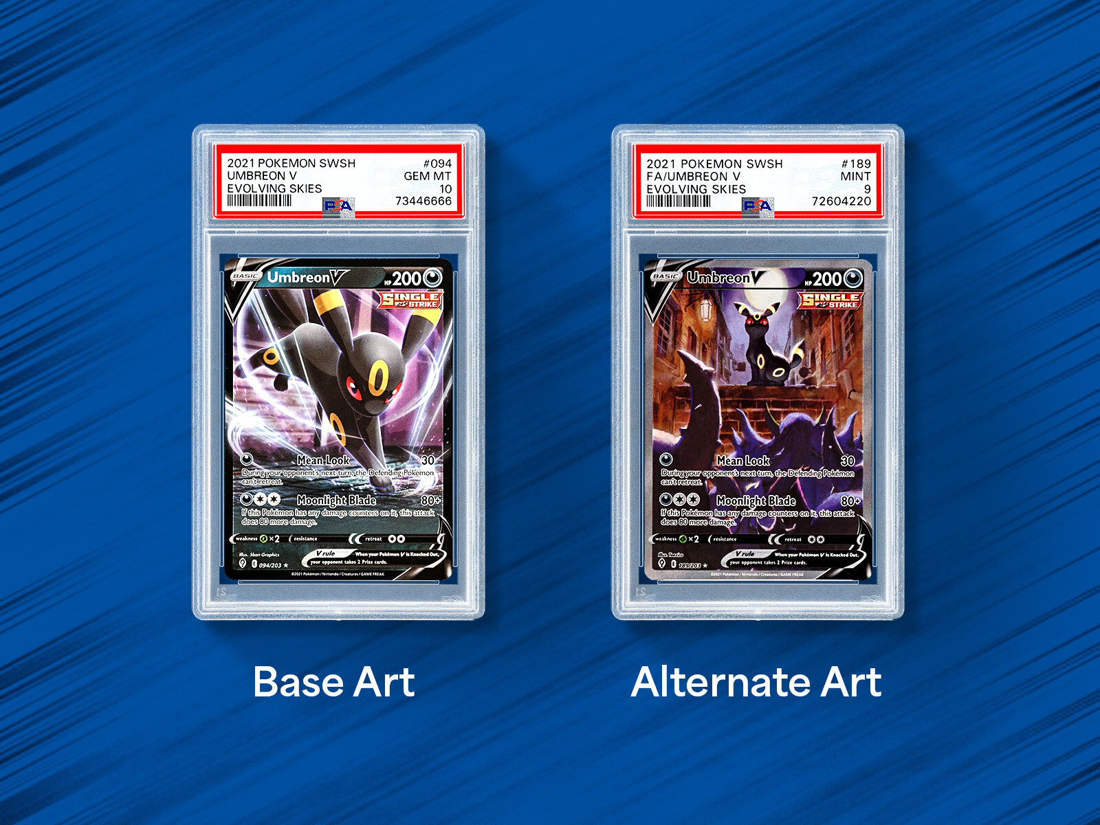 Pokémon Collecting Basics Guide