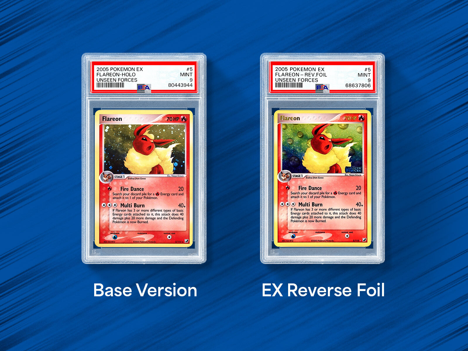 Pokémon Collecting Basics Guide