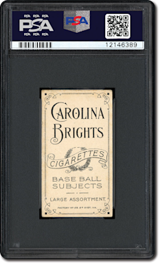 Parting with a Remarkable Collection of T206 Rare Backs