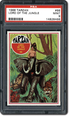 PSA Set Registry: Collecting the 1966 Philadelphia Gum Tarzan Trading ...