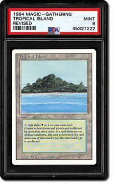 PSA Set Registry: Collecting the 1994 Magic: The Gathering Revised Set ...