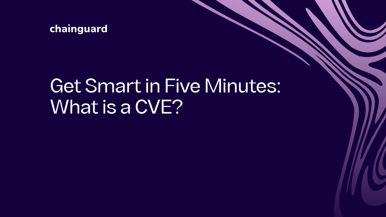 Get Smart in Five Minutes: What is a CVE and why care?