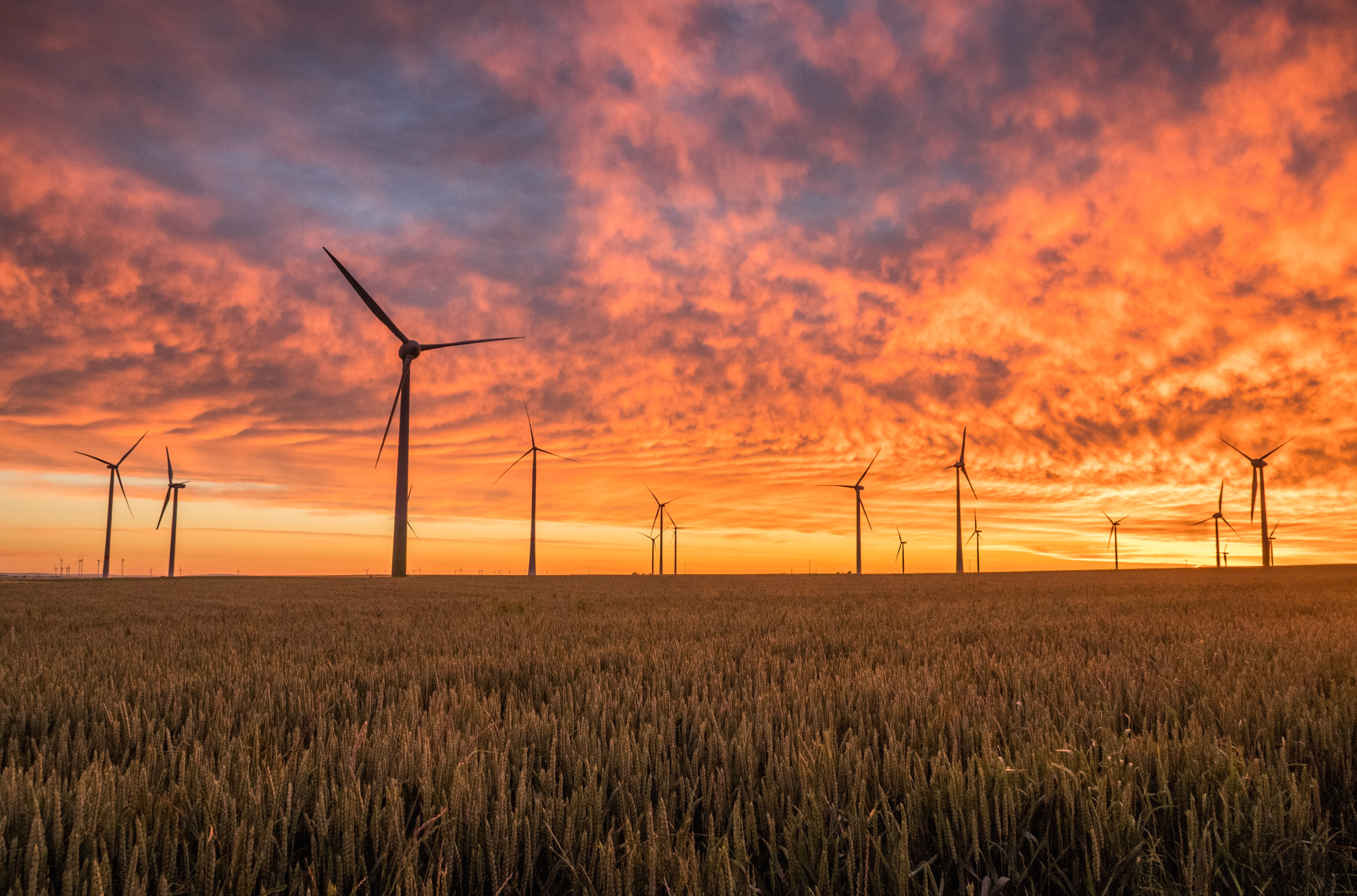 Main Responsibilities and Required Skills for an Environmental Planner ...
