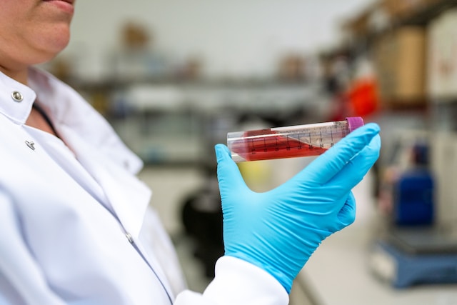 Main Responsibilities and Required Skills for a Biologist | Spotterful Blog